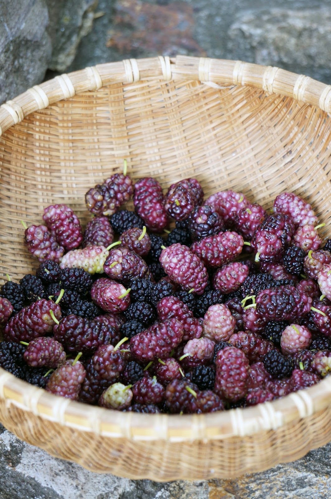 Elmira paleo konyhája: Kókuszkrém pohárban faeperrel