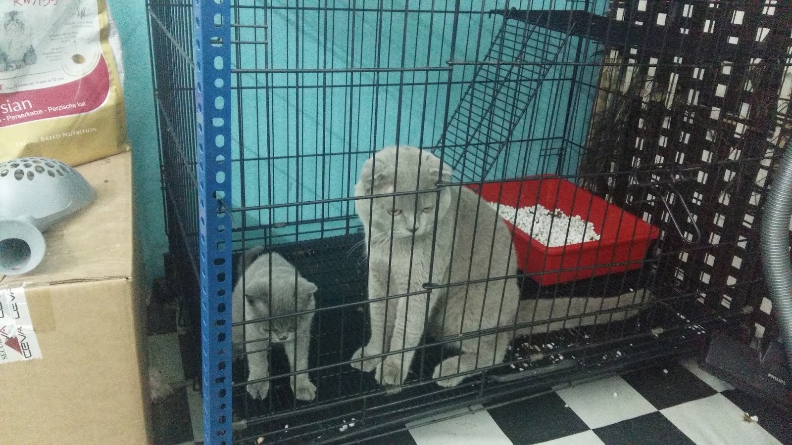 Penjelajahan Kerjaya Doktor Veterinar Swasta - GURU KAUNSELING NURHAIZA ...