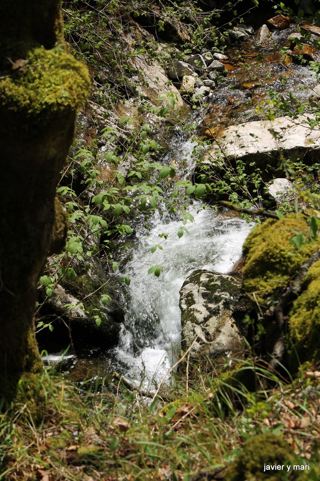 senderismo con bambi: 062 Fuensanta - Foces del Pendon - La Varallonga ...