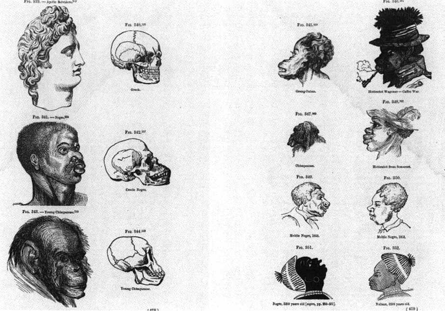 VISUAL CULTURE ART 218: Biocultures of Evolution, Eugenics and ...