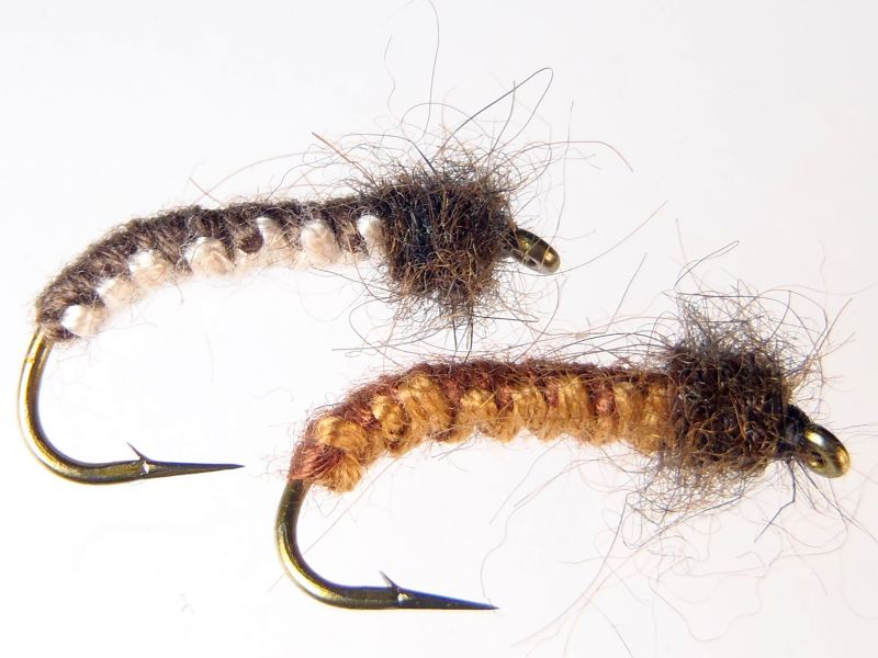 Fly-Carpin: 2013 Carp Fly Swap