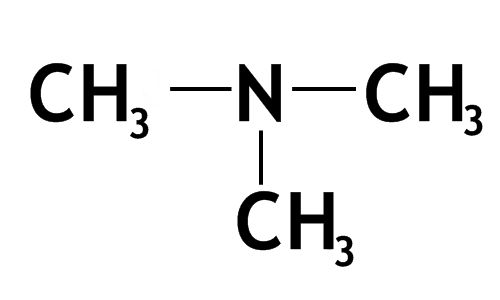 Aprendendo Química: Aminas
