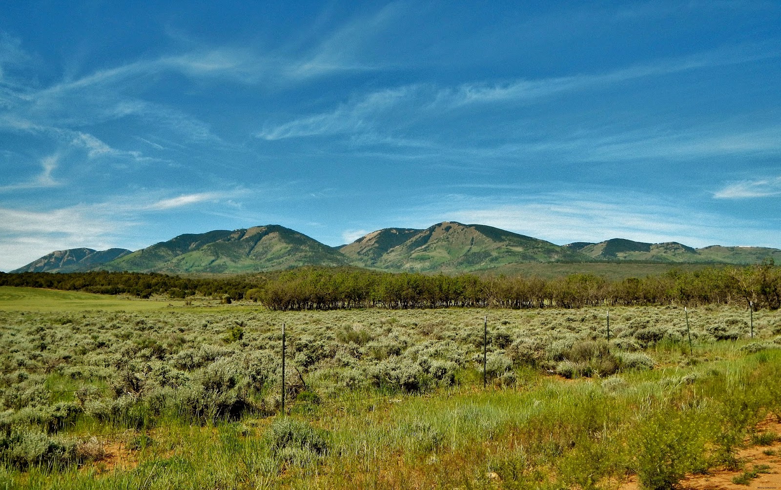The Southwest Through Wide Brown Eyes: North of Monticello Utah ...