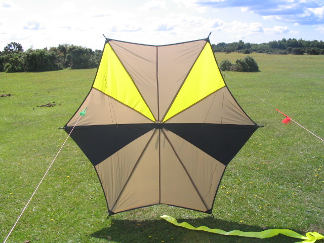 Flying Fish Kiting Team: Evolution of dual-line kites