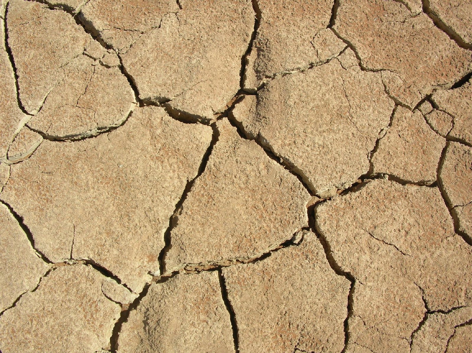 Echilibre şi dezechilibre naturale: Seceta