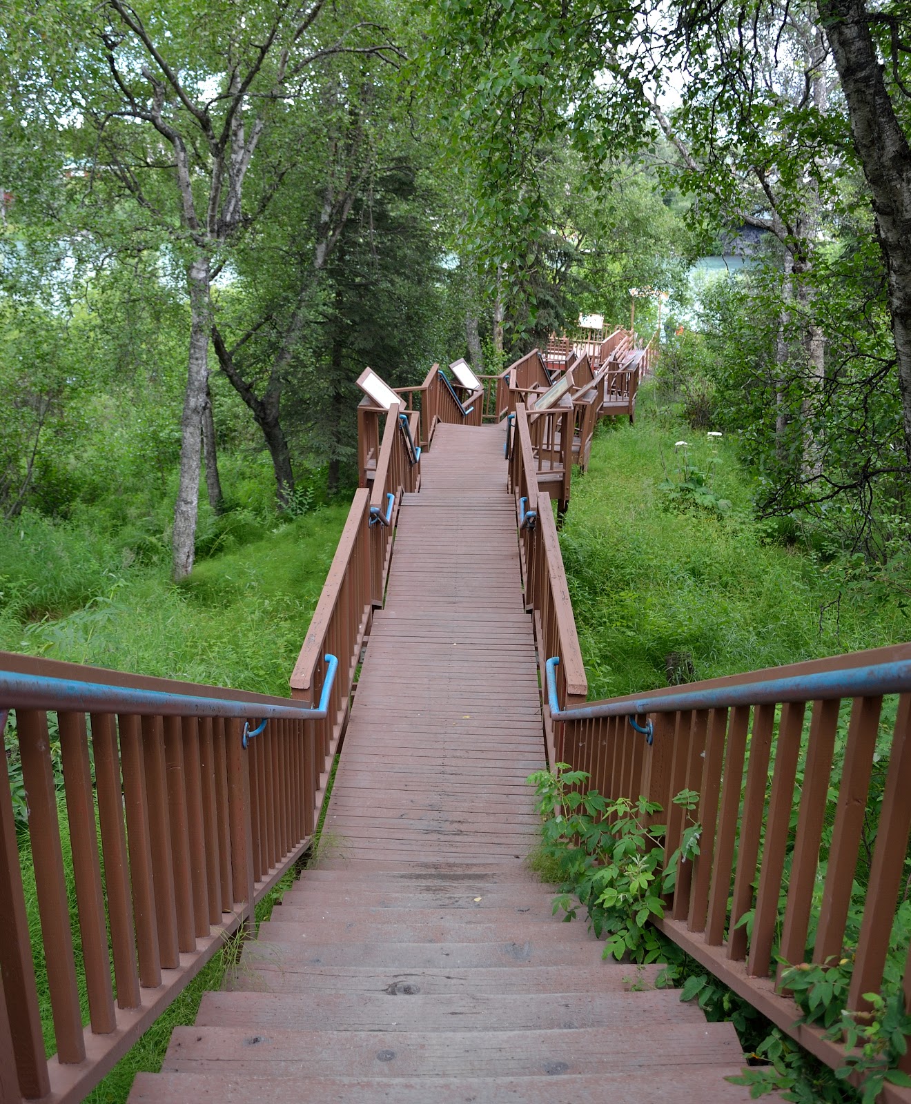 No Bad Days RVing: Day 47 & 48 - Soldotna, AK