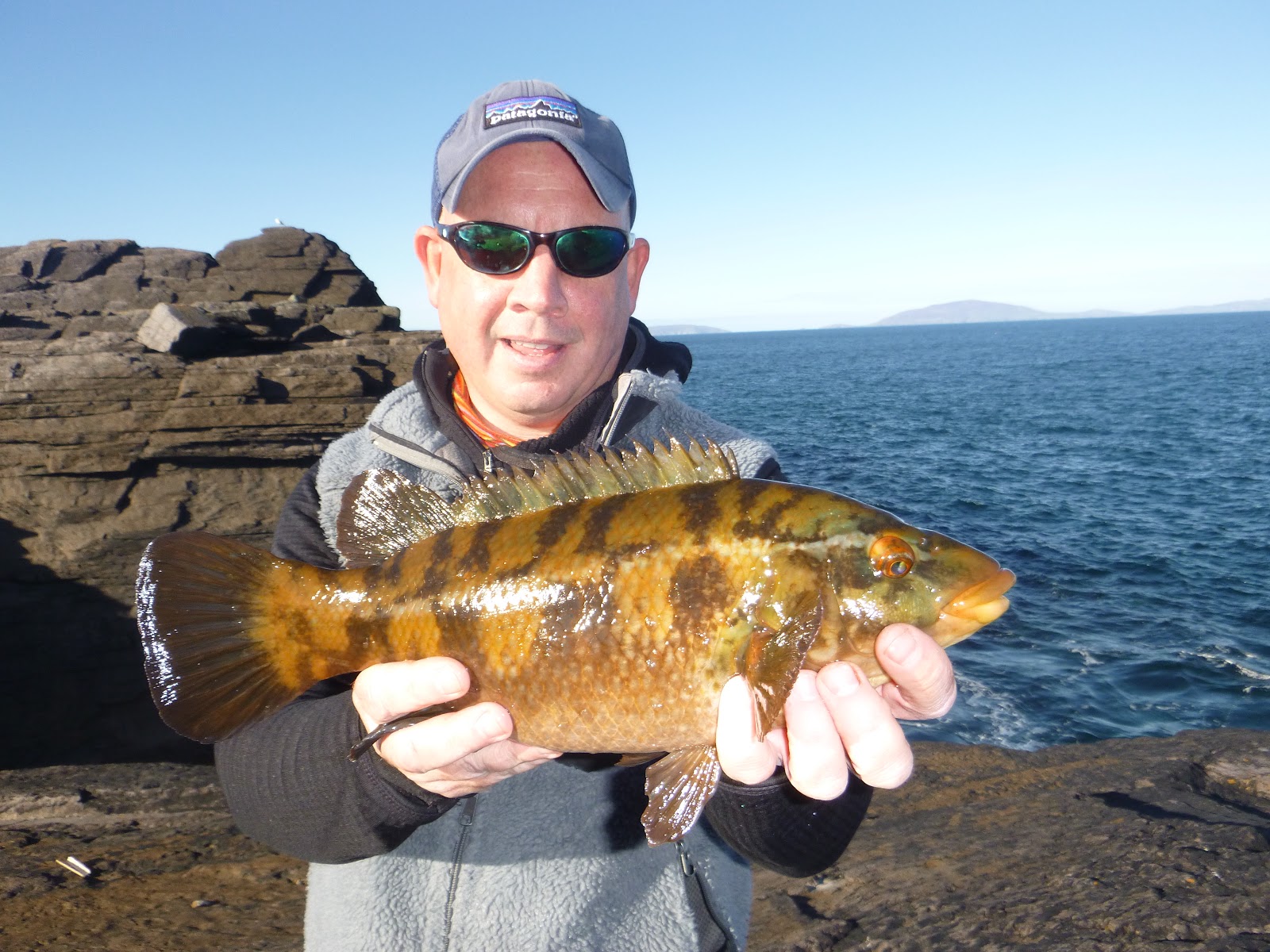 Tide Lines Martin's fishing blog: Trip to Ireland - Day 1 Wrasse & Bass