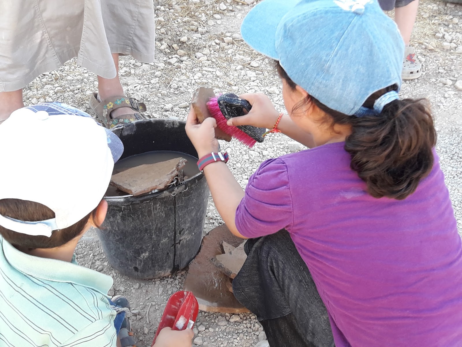 Tel Shiloh, We are All Archeologists - Israel Blogger