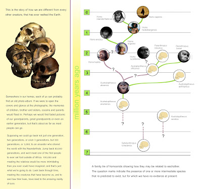 Evolutionary Trail: Final australopithecus concepts