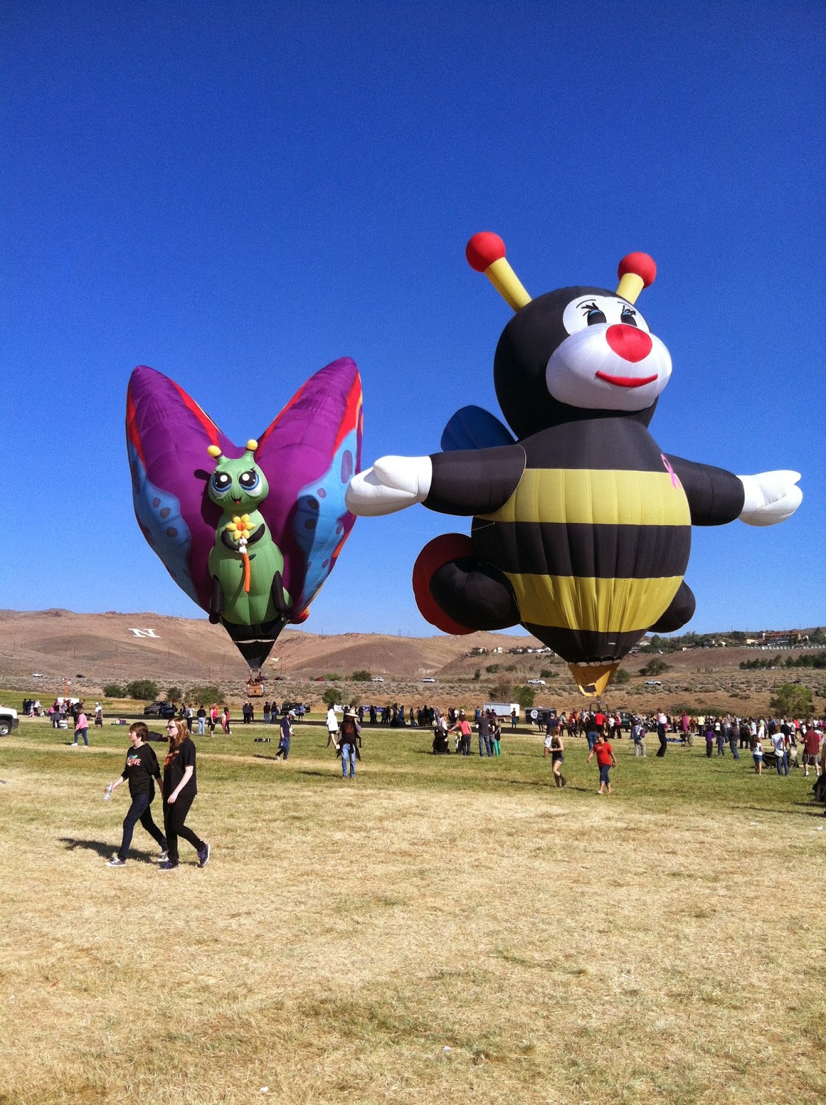 Great Reno Balloon Race - The Beautiful things in Life