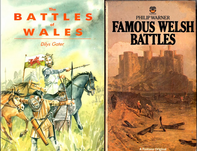 I'R GAD: Welsh Medieval Battlefields Campaign.: WELSH BATTLE FIELDS ...