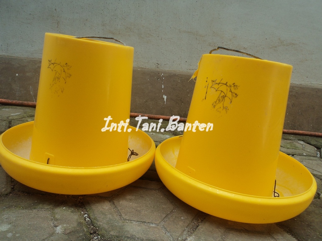 Ayam Kampung Unggul Badan Litbang (KUB) "Inti Tani Banten": Sistem ...