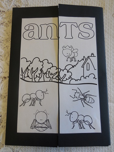 The Paper Maid: Interactive Ant Lapbook