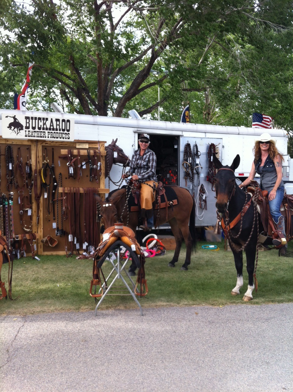 Buckaroo Leather Horse Tack, Use, Care and Maintenance: Why Buckaroo ...