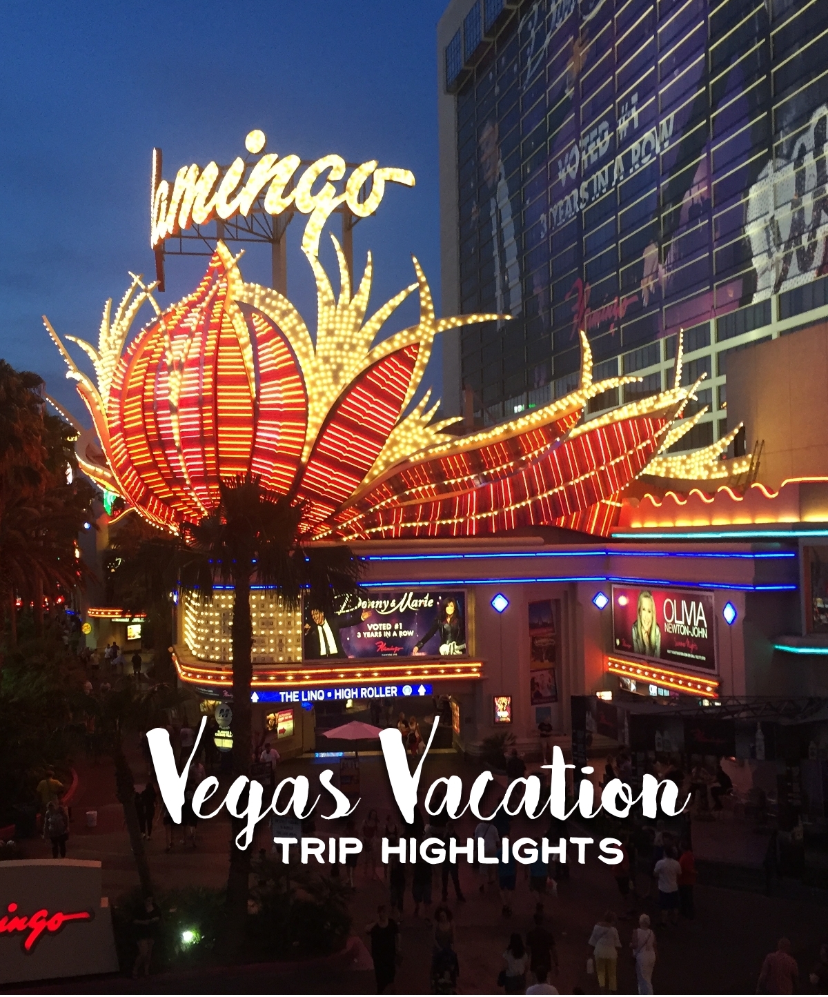 Discovereighng with Dana: Vegas Vacation Trip Highlights