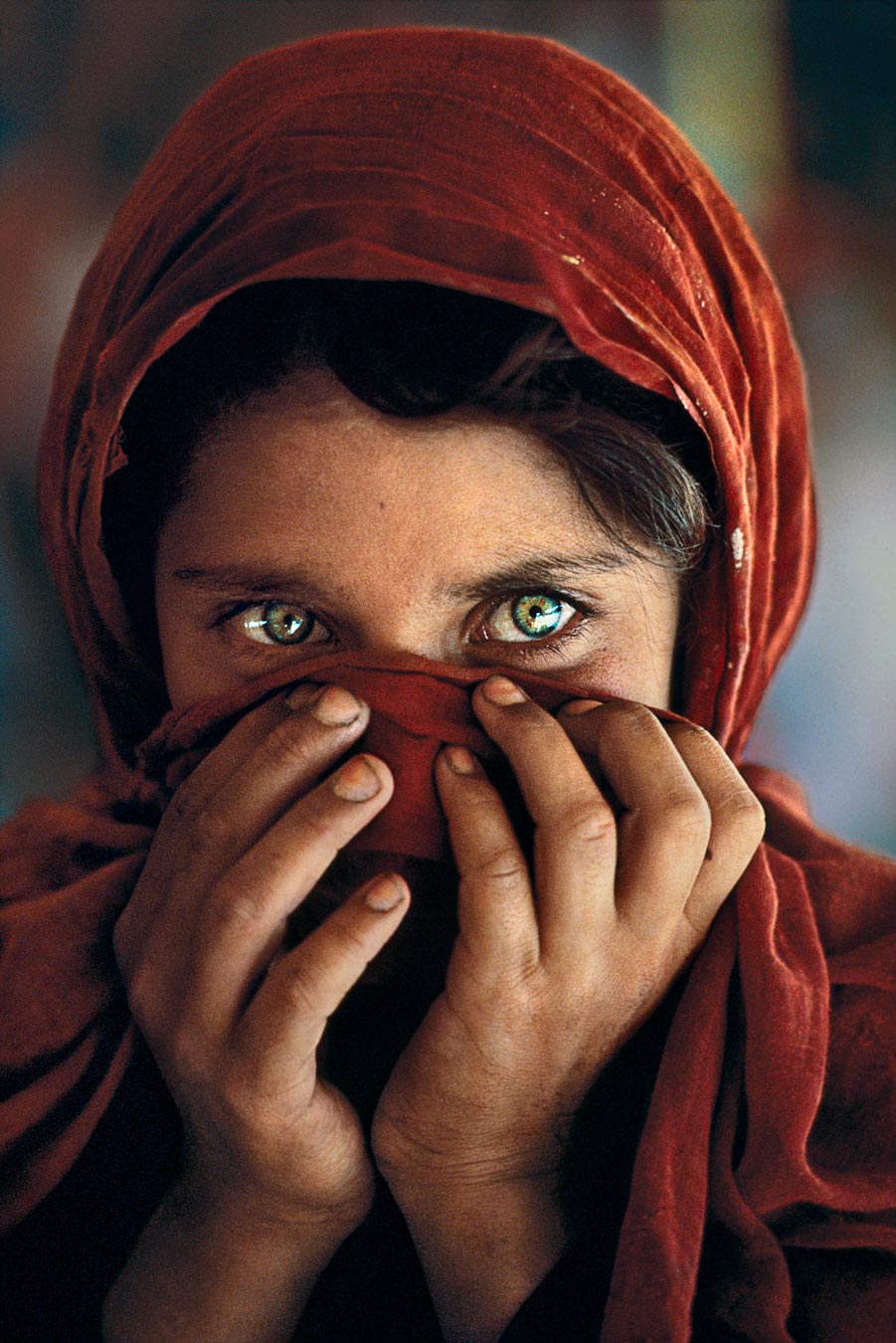 est100 一些攝影(some photos): Steve McCurry, American photojournalist. 史提夫 ...