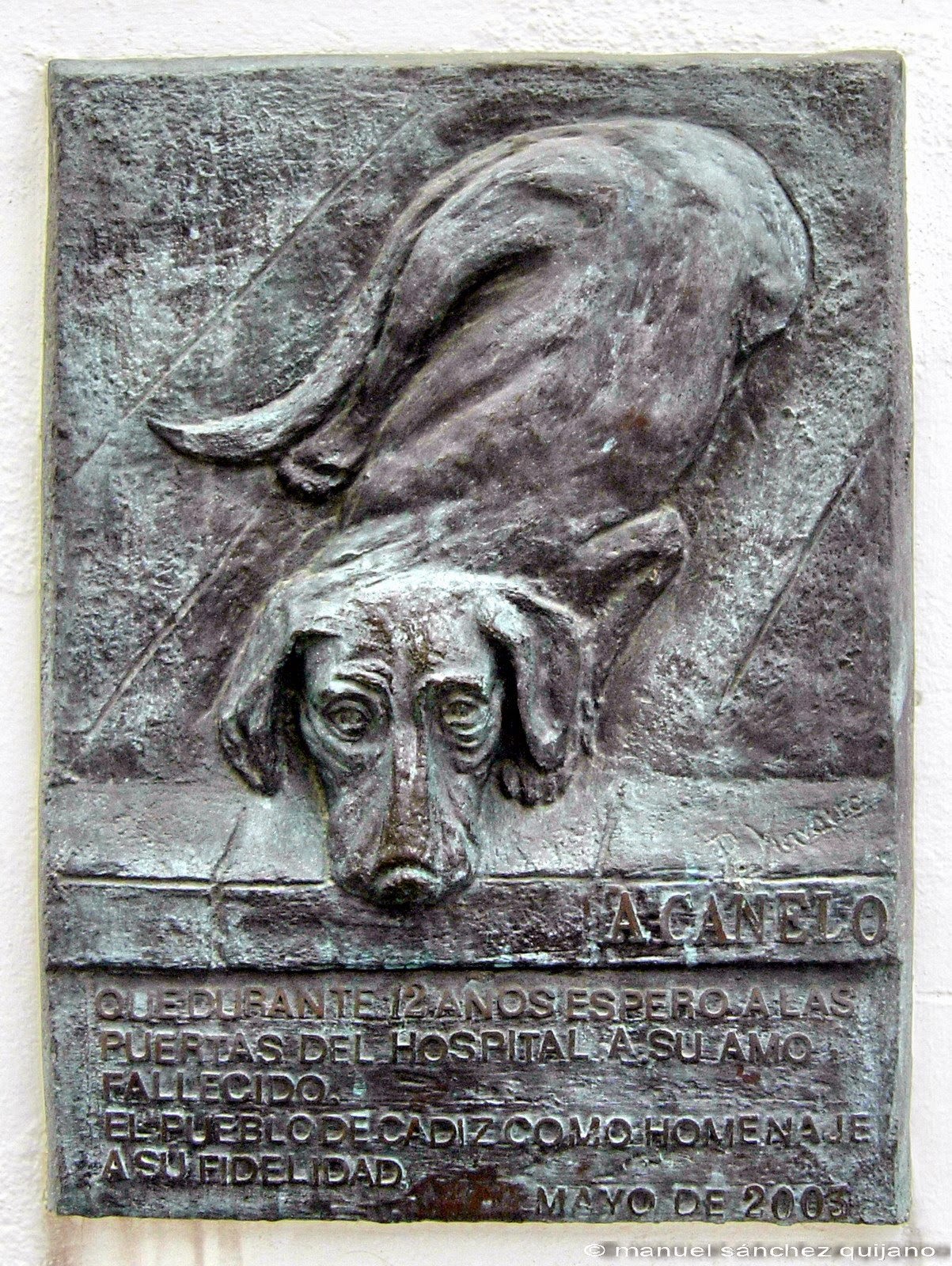 CADIZ.3000 historias no contadas: CANELO, EL PERRO FIEL.