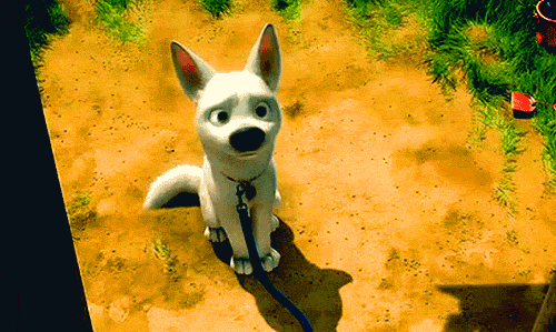 The Cabulouso: A Cronologia da Disney