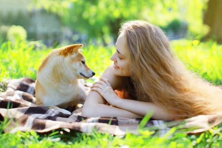 Acorde con la vida: "8 Aplicaciones para Disfrutar con tu Mascota"