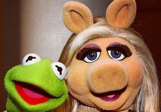 A Través del Uniberto: A René le gustan las cerdas y a Miss Piggy los ...