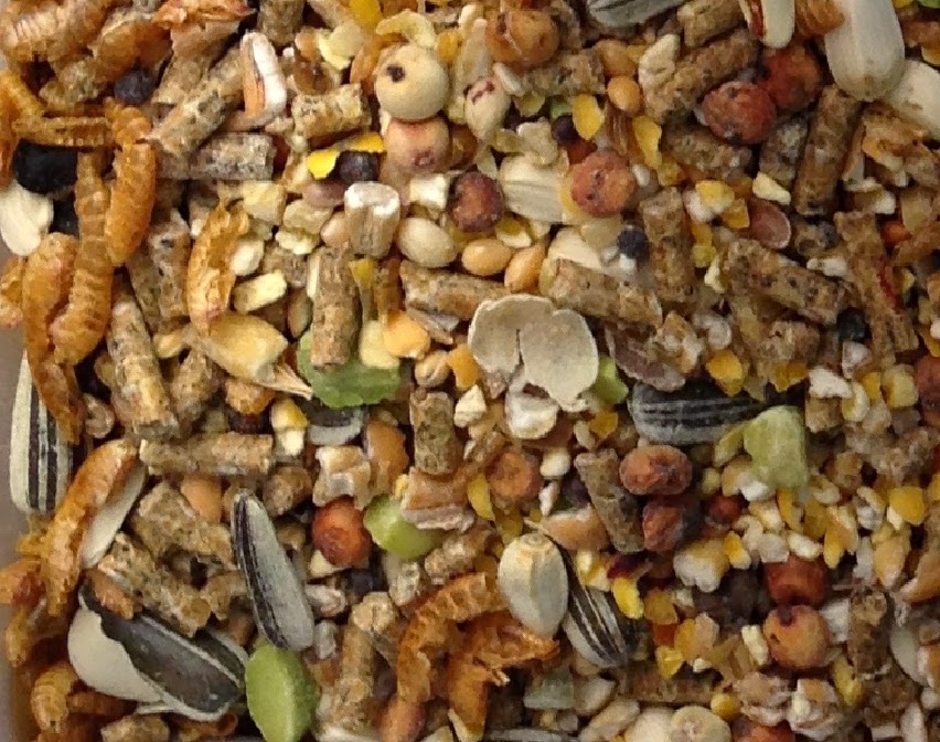 YouAndChickens: Verschillende soorten voer