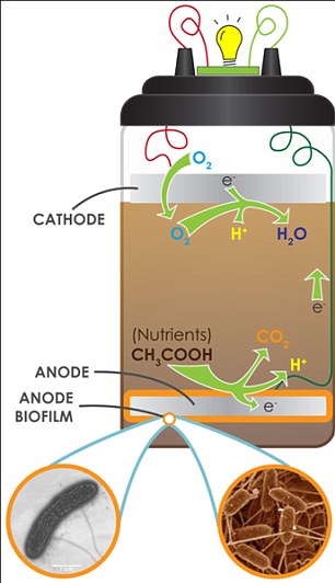 LinkNotes: Electricity Production by Use of Space Bacteria Found in ...