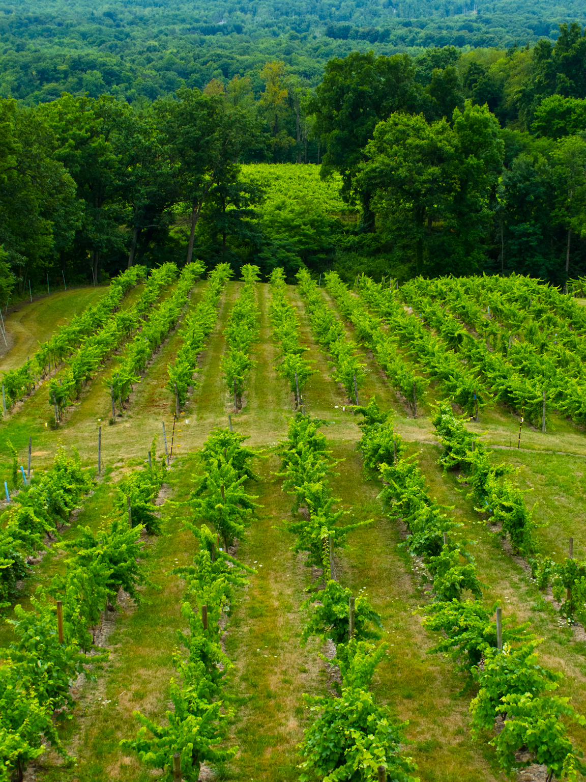 Washington DC Photographer: Bret Littlehales