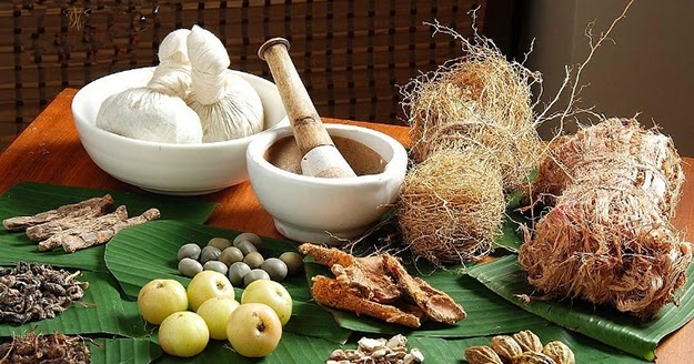 Perhatikan! Ternyata Jamu dan Obat Herbal Itu Beda Lho! | Dhanang Reborn