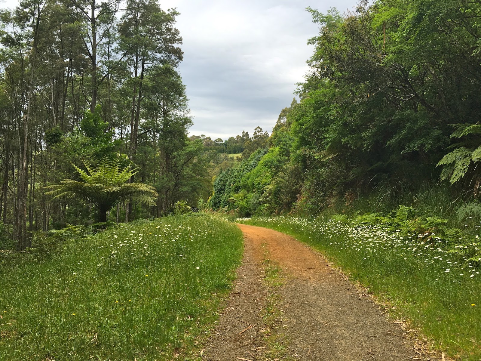 RDO Melbourne: RJ Hamer Arboretum, Olinda