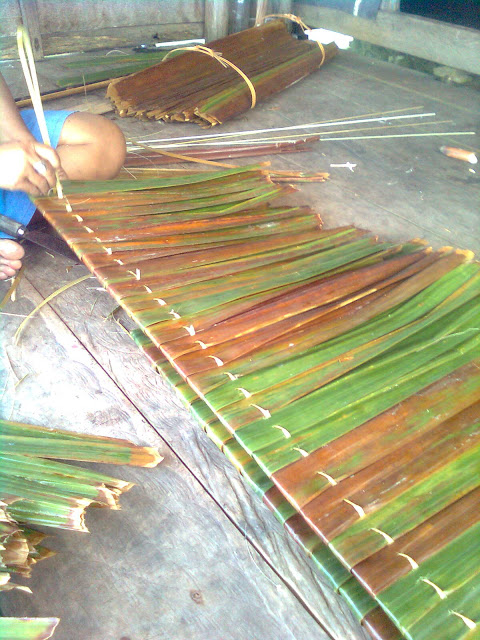 Tafakkur pada Ciptaan Allah Subhanahu Wa Ta'ala: Atap dari daun Sagu