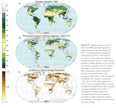 Too Hot to Handle?: Application of a Dynamic Global Vegetation Model