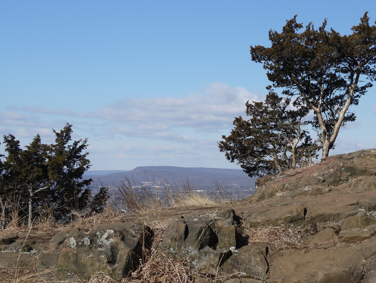 Along the NET-Cohos: Mount Higby, Middlefield-Middletown