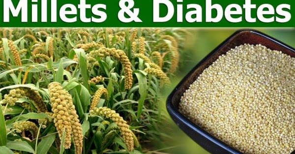 Millets Can Help Prevent Diabetes Research And Study