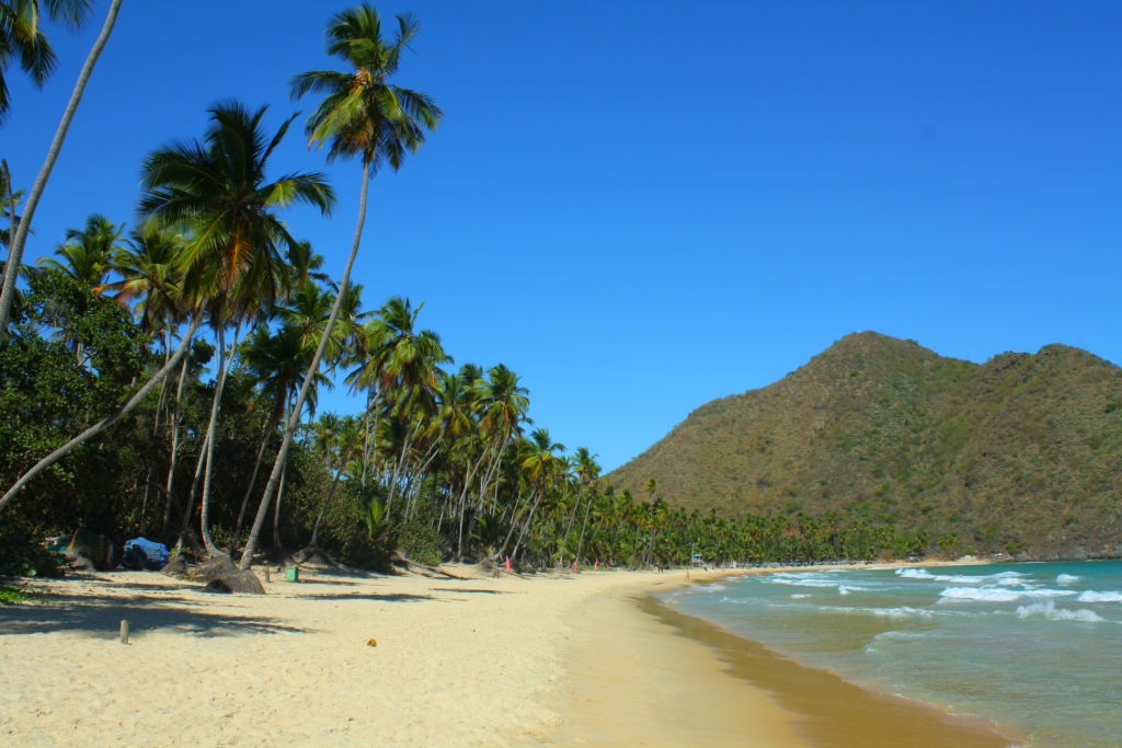 Tête de Rippyz: Venezuela : Choroni du 11 au 14 février 2012