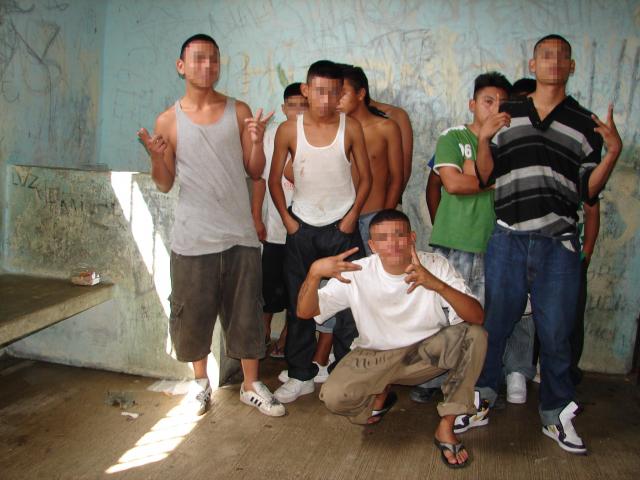 C O N T R A P U N T O: Las pandillas, mal creciente