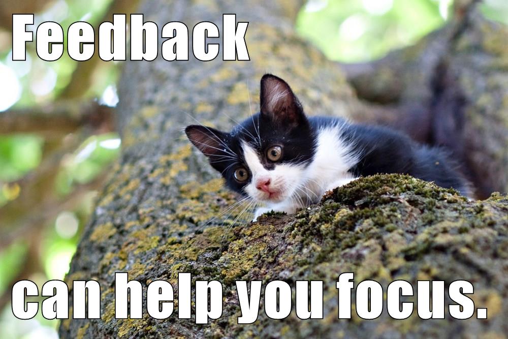 Growth Mindset & Feedback Cats: Feedback can help you focus.