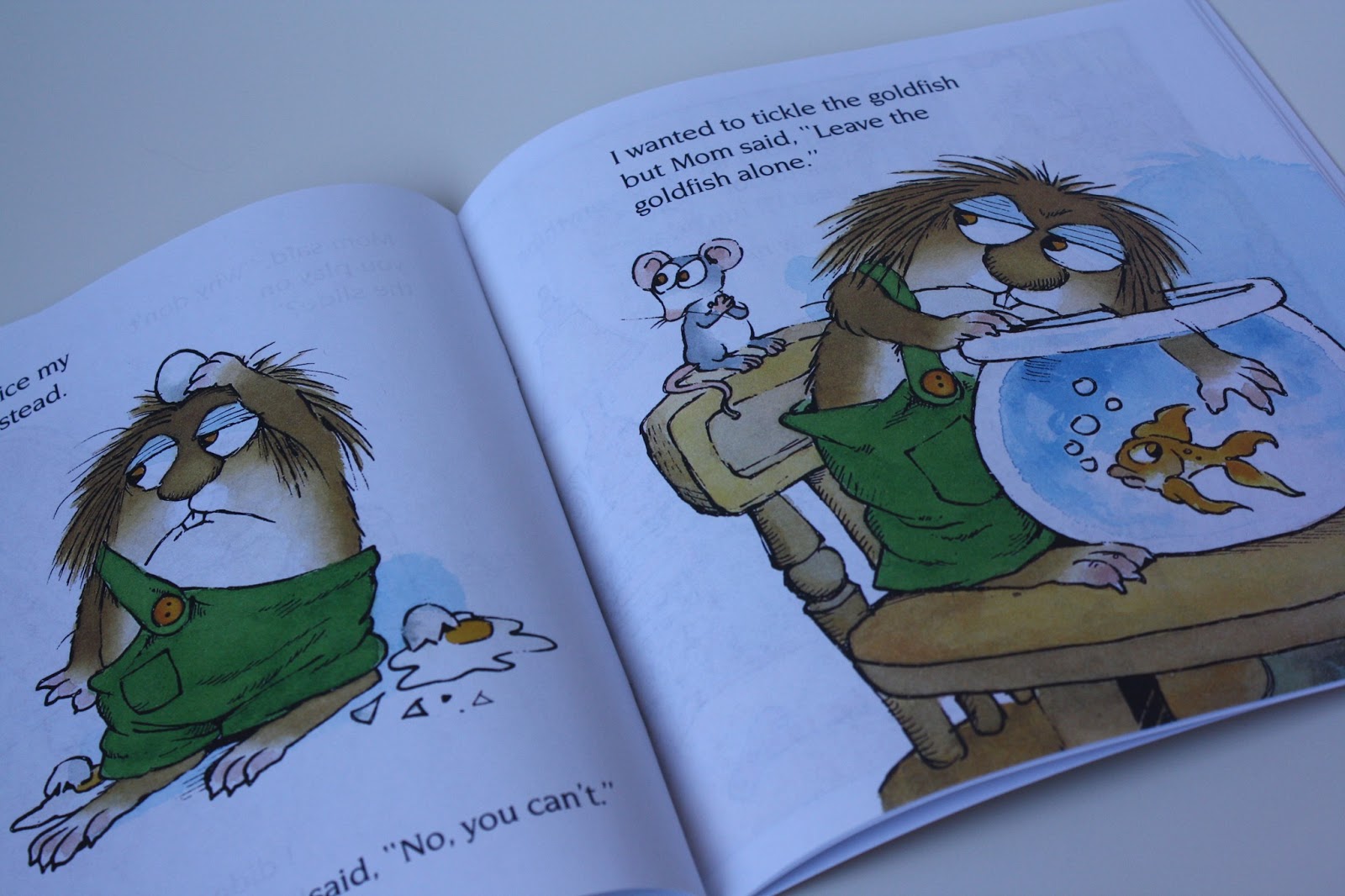 Book Review and FREE Mercer Mayer Book! | Making Life Blissful