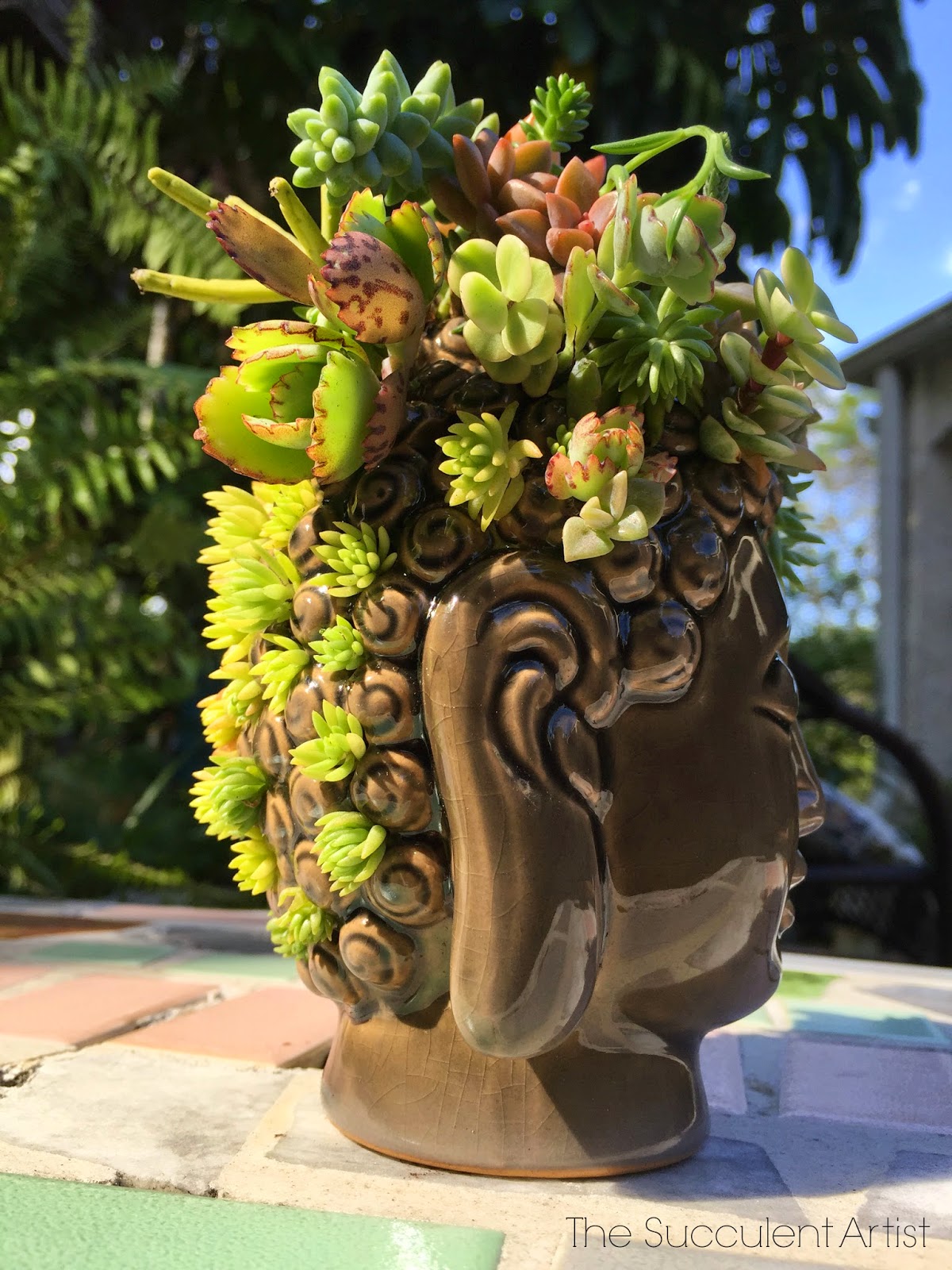 Buddha Head Succulent Planter