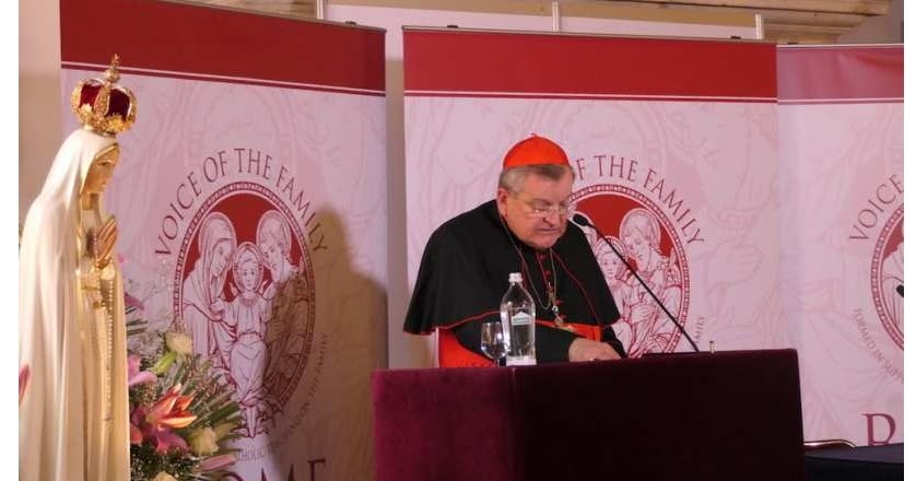 Connecticut Catholic Corner: Cardinal Burke, Church Militant and me