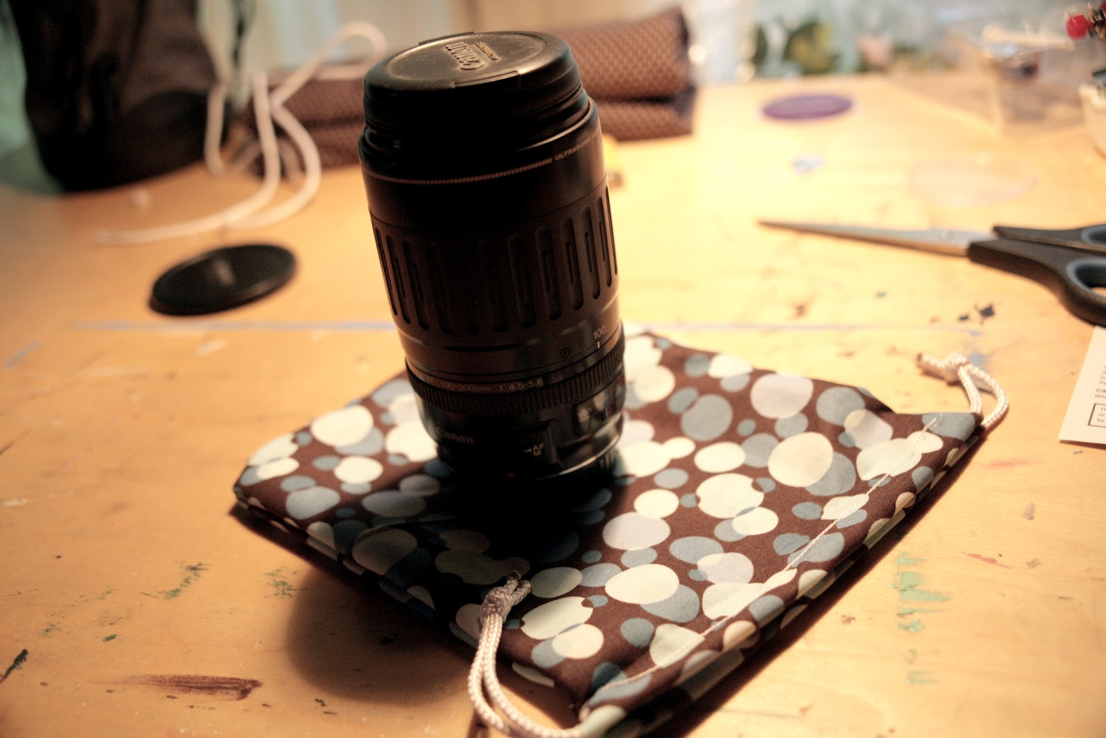 My Thrifty Friend - Living Outside the Box: DIY Lens Pouches
