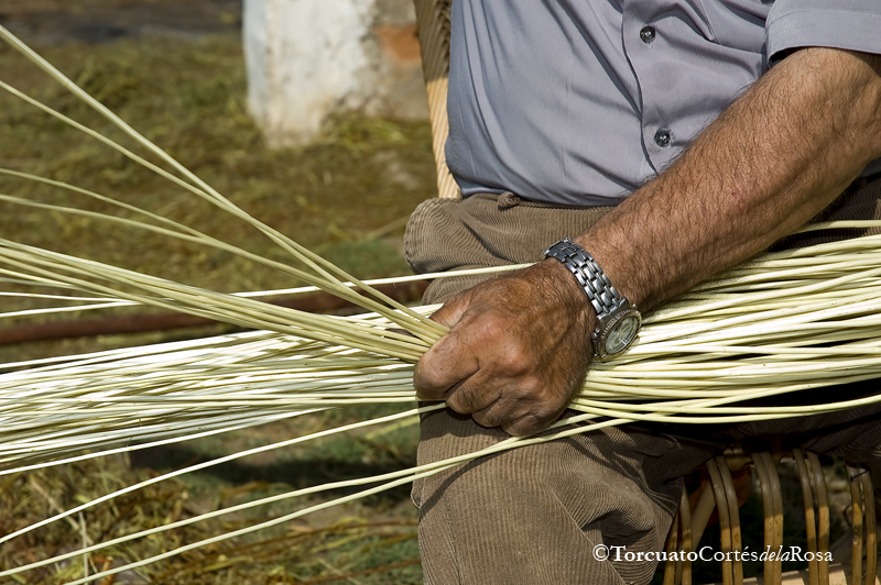 Naturaleza y Etnografía: Mimbre