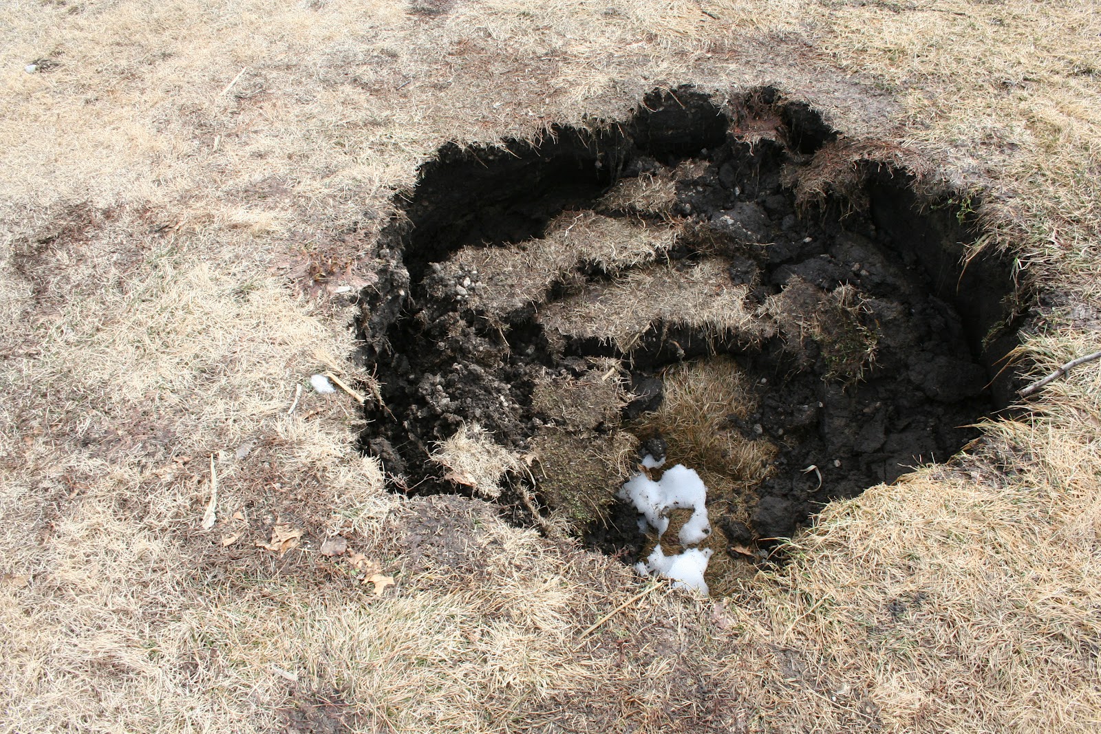 What's New With The W Family: Big Giant Hole in the Yard