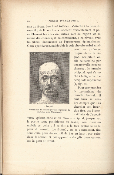 Research of Artistic Anatomy: Update: Duval, Mathias. "Précis d ...