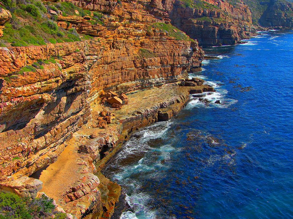 Cape Point Nature Reserve: Rooikrans II
