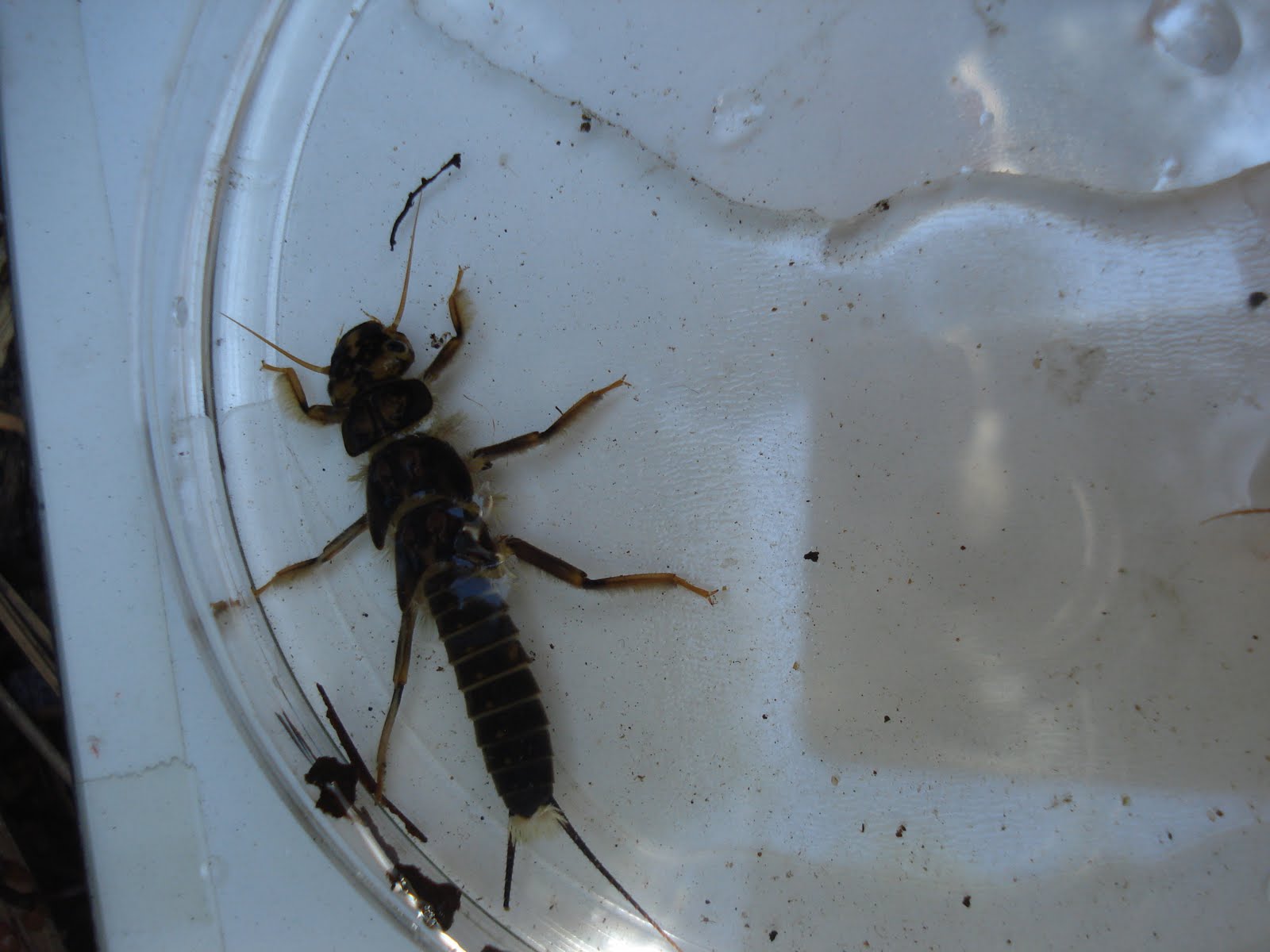 Climbing-a-Mountain-in-Heels: Nature Knowledge