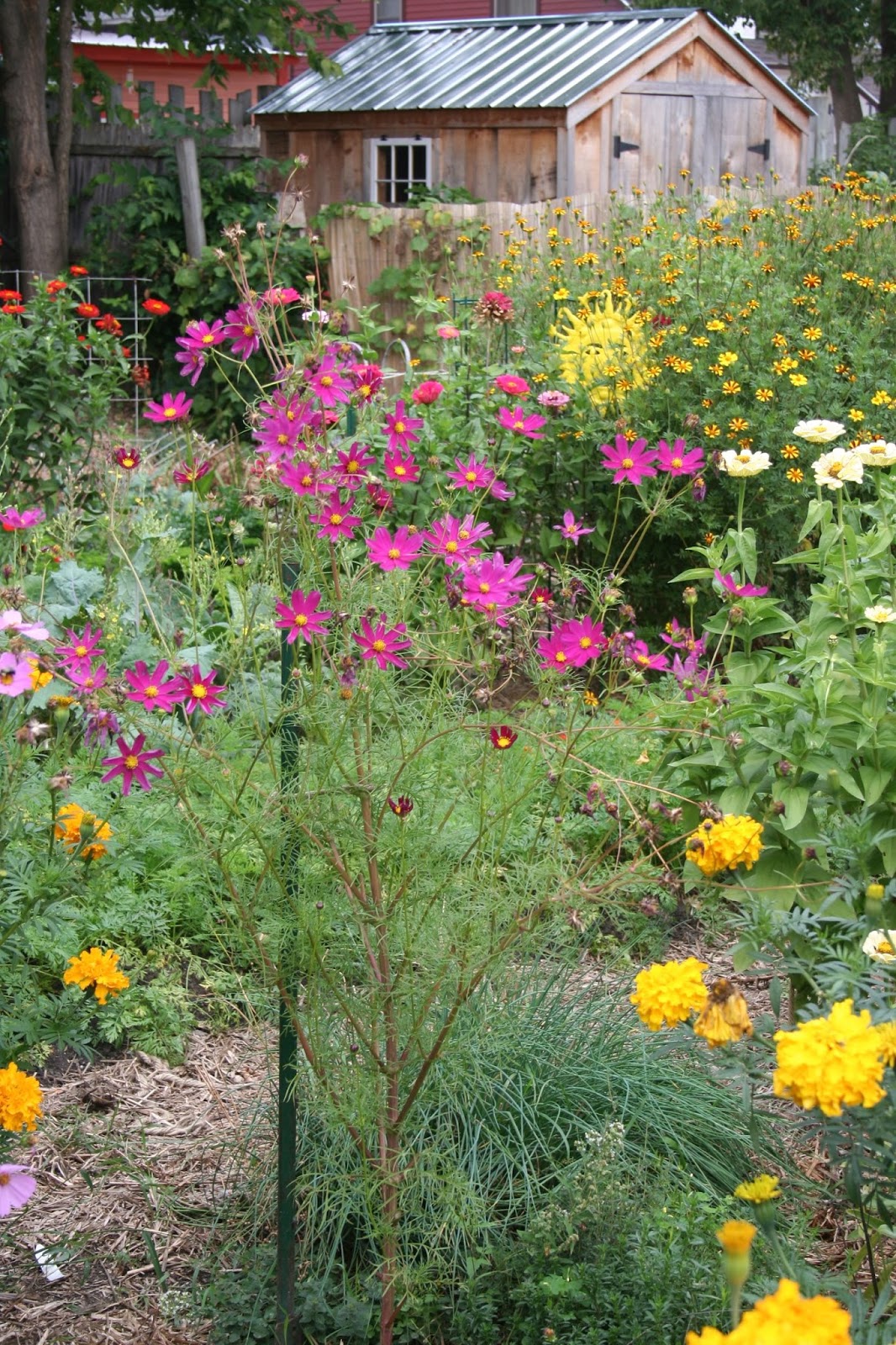 Henry Glass Fabrics: Designer Spotlight - Meet Debi Hron