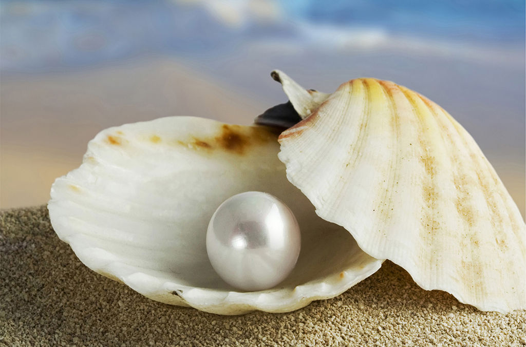Fashion&Jewelry : Knowledge about Pearl 1: Brief Introduction about pearl