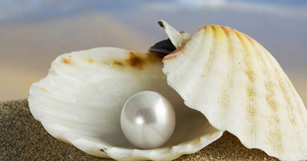 Fashion&Jewelry : Knowledge about Pearl 1: Brief Introduction about pearl