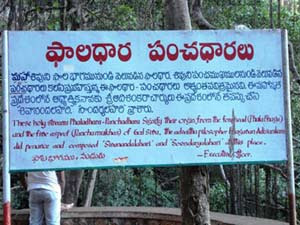 Srisailam Temple Information