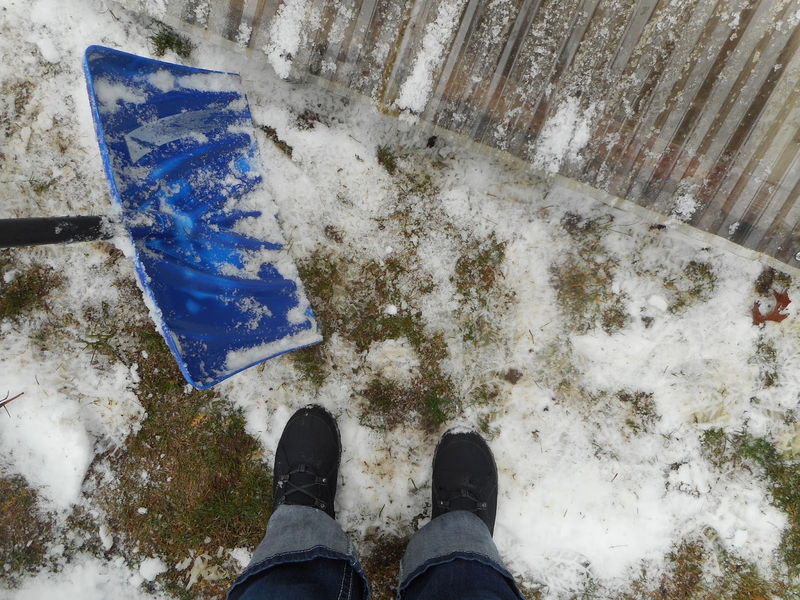 Jen & the Bean stalk: January 2016